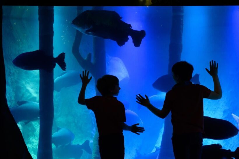 London: Madame Tussauds, SEA LIFE and London Dungeon Entry - Exploring the Top Attractions in One Ticket