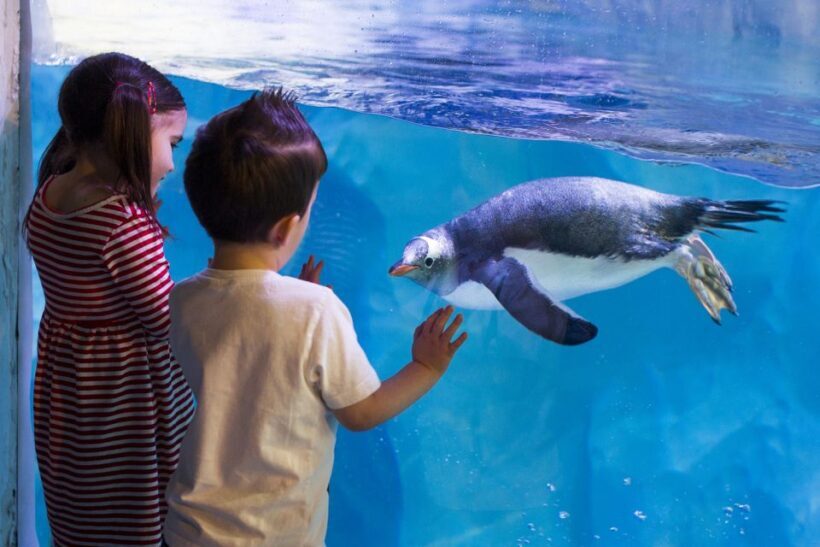London: Madame Tussauds, SEA LIFE and London Dungeon Entry - Authentic Experiences and Traveler Insights