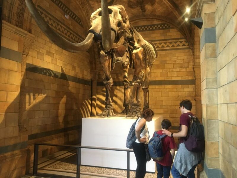 London: Natural History Museum Entry Ticket and Guided Tour - Key Points