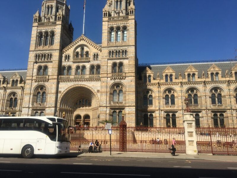 London: Natural History Museum Entry Ticket and Guided Tour - What You Can Expect on This Tour