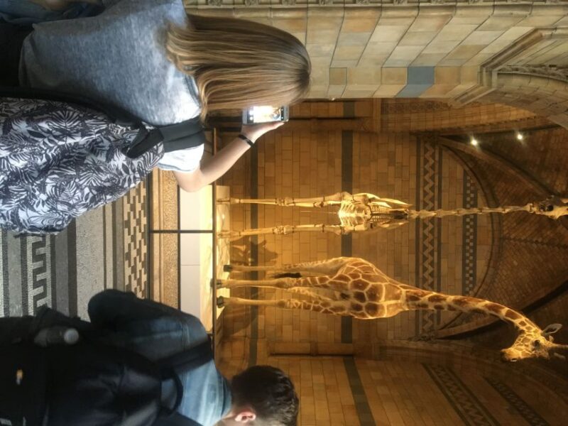 London: Natural History Museum Entry Ticket and Guided Tour - The Experience in Context: What It Means for You