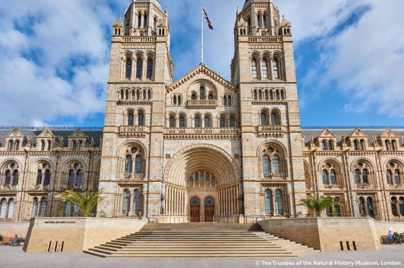 London: Natural History Museum Guided Tour & Afternoon Tea - Final Thoughts