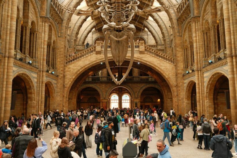London: Natural History Museum Guided Tour - Key Points