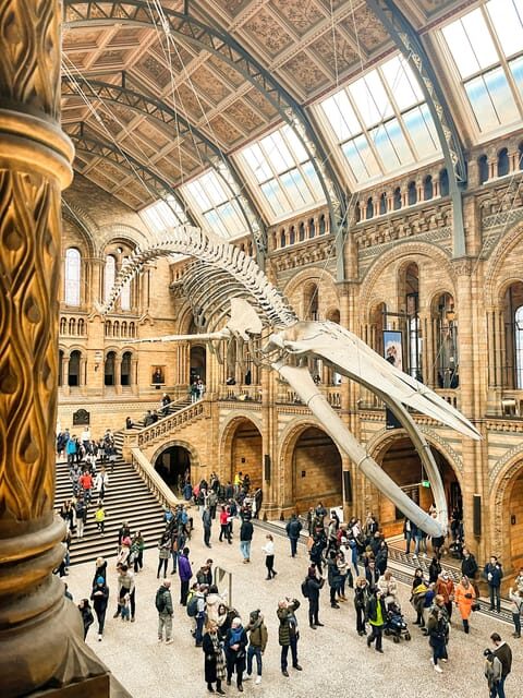 London: Natural History Museum Guided Tour - What to Expect from the Tour