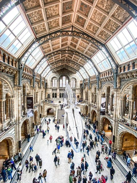 London: Natural History Museum Guided Tour - Detailed Breakdown of the Itinerary