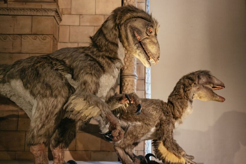 London: Natural History Museum Private Guided Family Tour - Introduction: What Is This Tour, and Who Is It For?