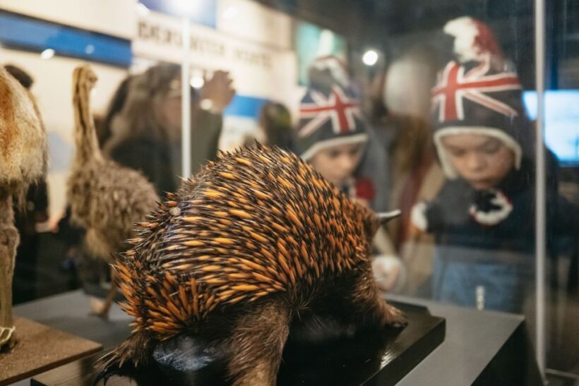 London: Natural History Museum Private Guided Family Tour - Specifics of the Itinerary