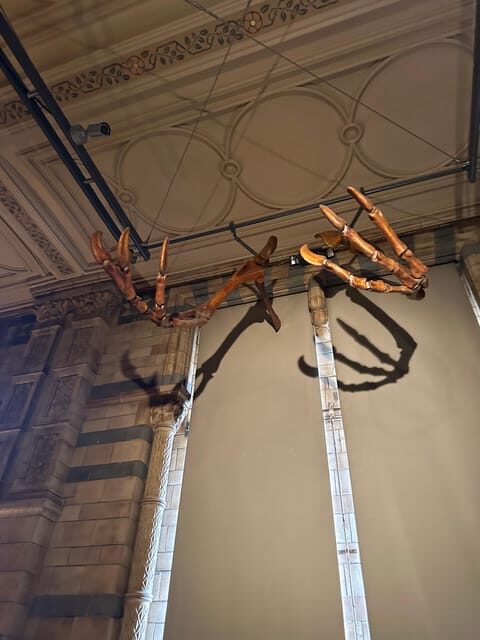 London: Natural History Museum Private Guided Tour - What to Expect: The Journey Inside