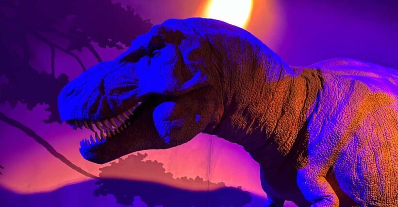 London: Natural History Museum Private Guided Tour - The Experience from the Reviews