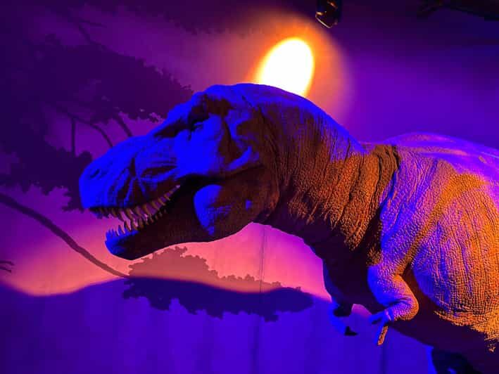 London: Natural History Museum Private Guided Tour - Practical Tips for Visitors
