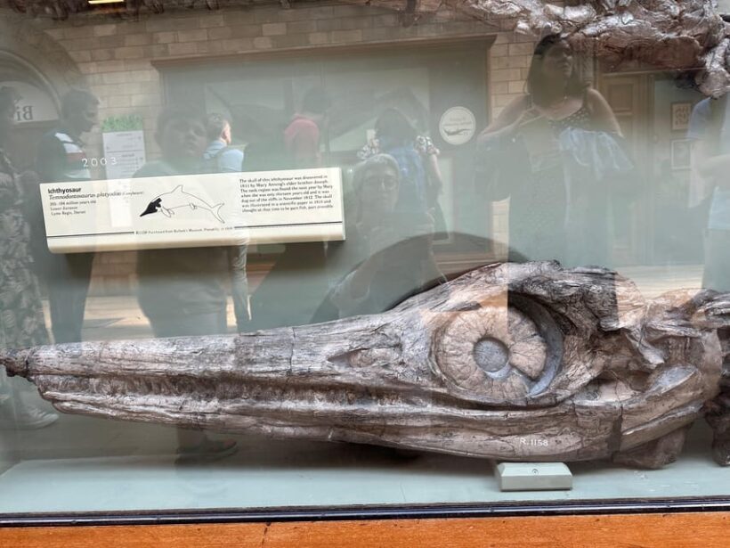 London: Natural History Museum Private Guided Tour - Who Should Book This Tour?