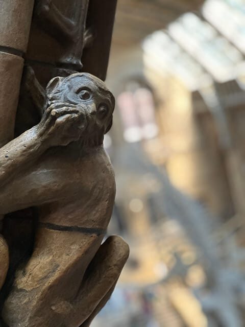 London: Natural History Museum Private Guided Tour - FAQ