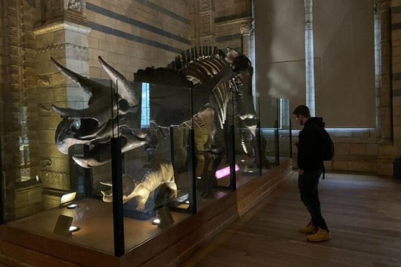 London: Natural History Museum Private Tour & Skip the line - Why Choose a Private Tour of the Natural History Museum?