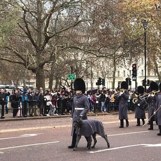 London: Private Changing of the Guard & Westminster Abbey - Authentic Insights from Past Participants