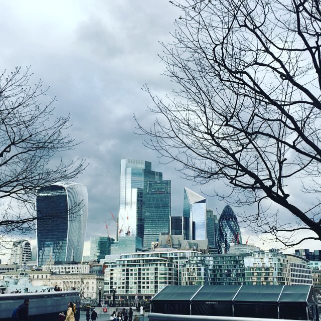 London: Private Intro Walk with a Local Guide - Key Points