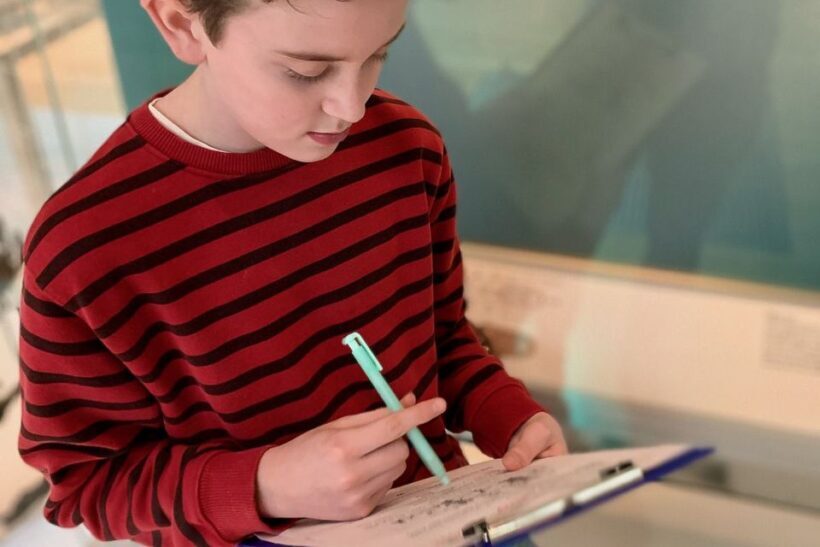 London: Private Kid-Friendly Tour of the British Museum - Key Points