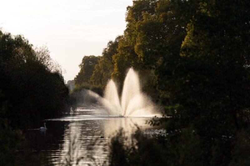 London: Private Royal Walking Tour with a Local Guide - Who Will Appreciate This Tour?