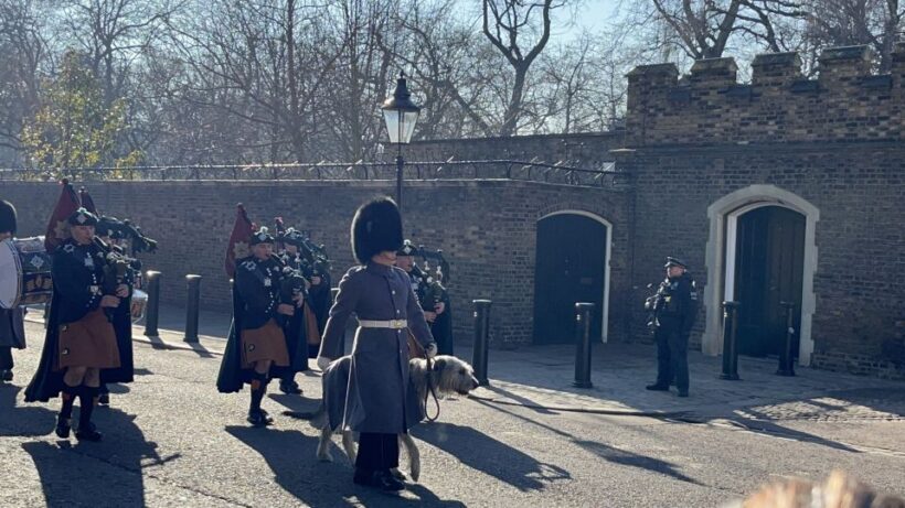 London: Royal Family and Changing of the Guards Walking Tour - Final Thoughts
