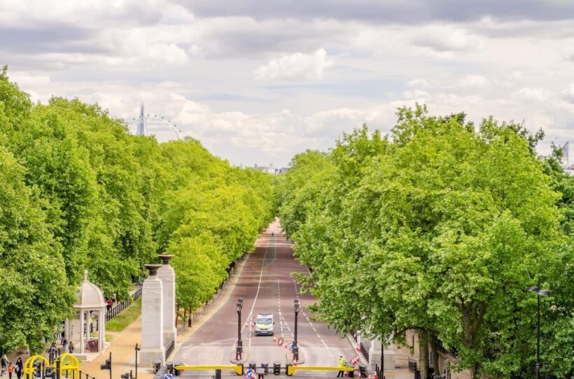 London: Royal Tour w/ timed entry to Buckingham Palace Entry - The Sum Up: Who Will Love This Tour?