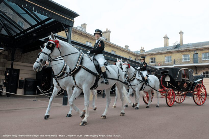 London: Royal Walking Tour with Guard Change & Royal Mews - Exploring Royal Parks and Historic Sites