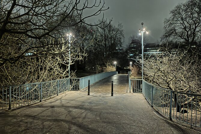 London Royal Westminster By Night Walking Tour - Who Will Love This Tour?