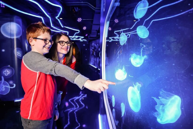 London: SEA LIFE Entry Ticket - Who Will Love This Experience?