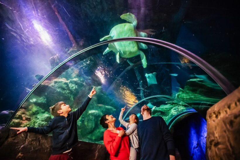 London: SEA LIFE Entry Ticket - The The Sum Up: Is It Worth It?