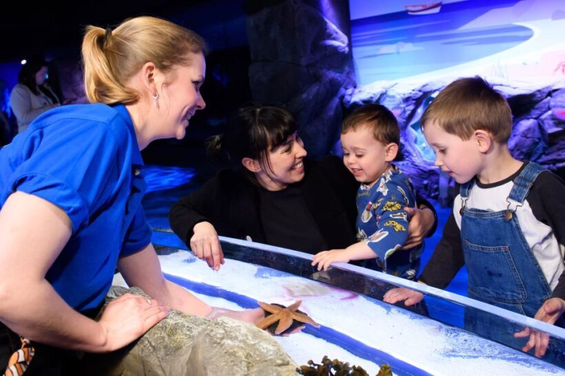 London: SEA LIFE & London Eye Combo Ticket - Authentic Traveler Perspectives