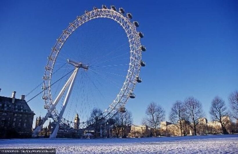 London: Sights and Sounds of Christmas Guided Half-Day Tour - Who Should Consider This Tour?