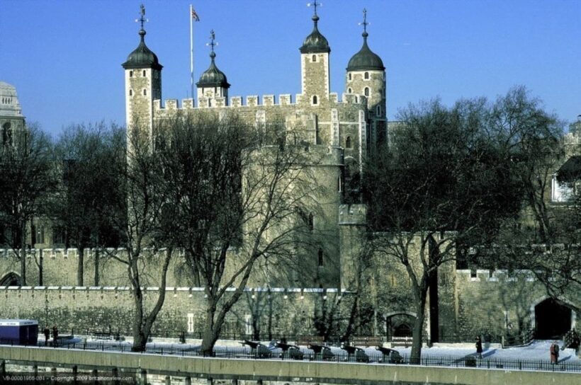 London: Sights and Sounds of Christmas Guided Half-Day Tour - The Sum Up