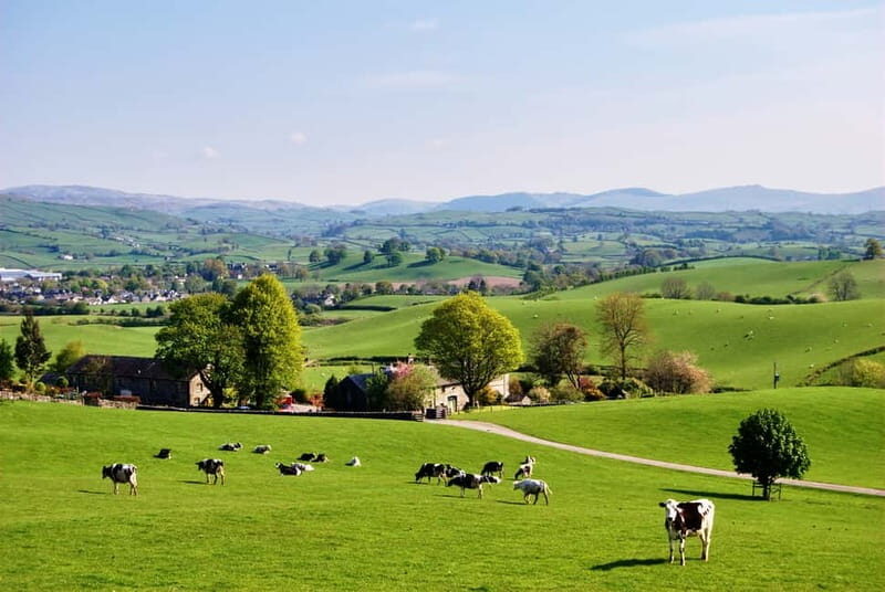 London: Small Group Canterbury, Dover & Kent Villages Tour - Frequently Asked Questions