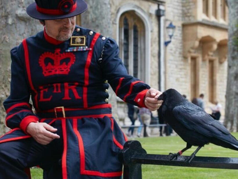 London: South Bank Walking Tour & Enter The Tower of London - The Sum Up: Who Is This Tour For?