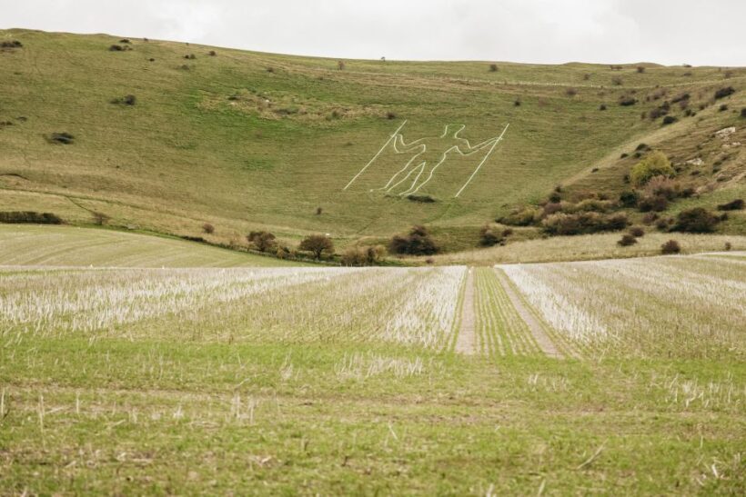 London: South Downs White Cliffs Day Trip with Train Tickets - Key Points