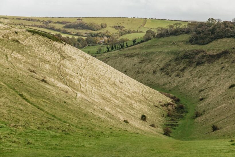 London: South Downs White Cliffs Day Trip with Train Tickets - Practical Details and What to Expect