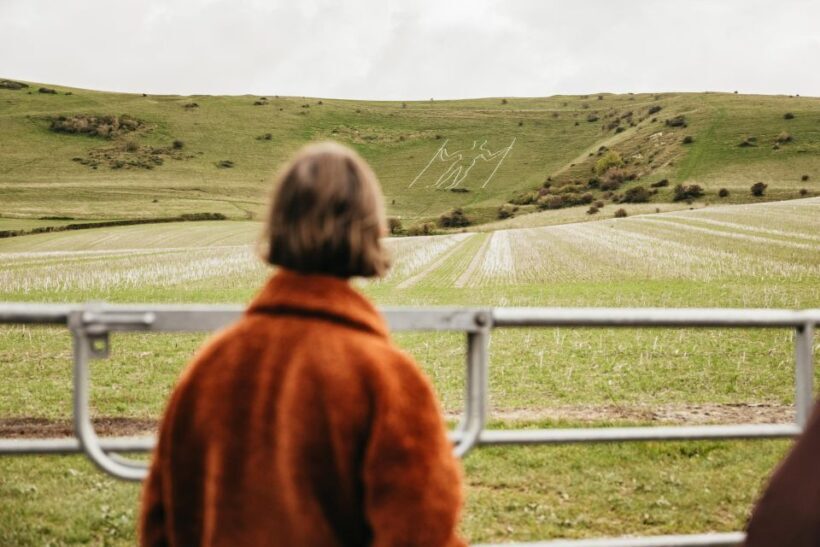 London: South Downs White Cliffs Day Trip with Train Tickets - What Travelers Are Saying