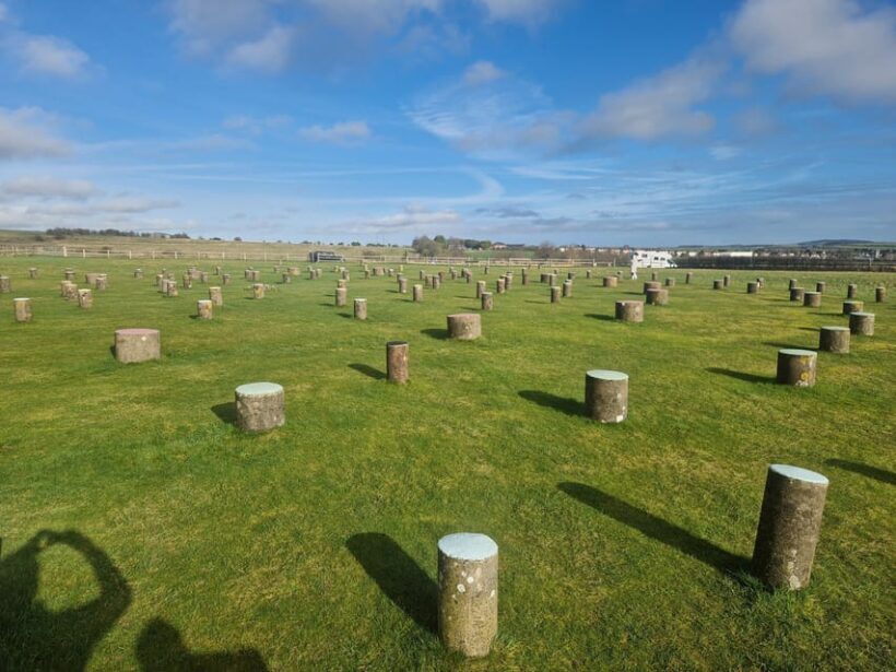 London: Stonehenge and Woodhenge Private Black Cab Tour - Key Points