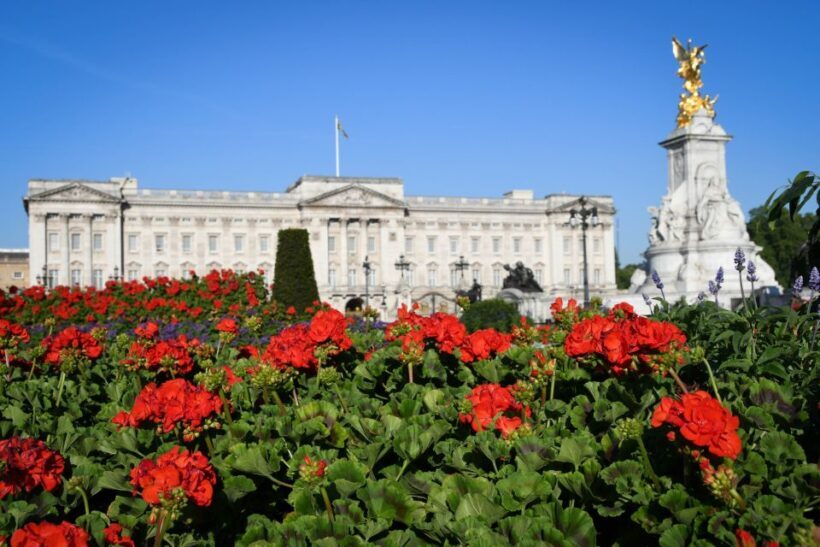 London: Top 30 Sights Walking Tour and London Dungeon Entry - Key Points