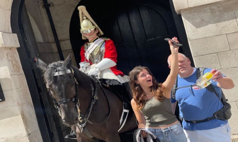 London: Westminster and Changing of the Guard Tour - Who Will Enjoy This Tour?