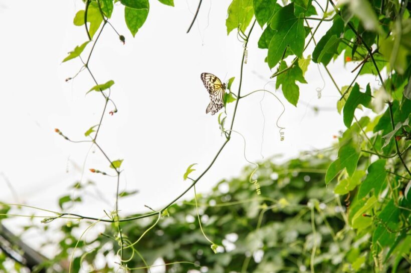 London Zoo: Entry Ticket - Is London Zoo Worth the Price?