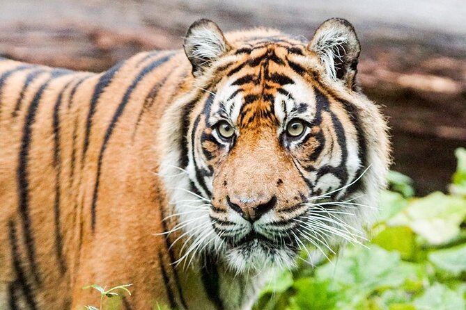 London Zoo Entry Ticket - Facilities and Amenities