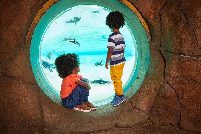 London Zoo Entry Ticket - Since You Asked