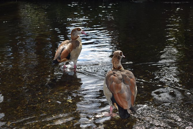 Londons Best Kept Secret Bike Tour - Practical Information