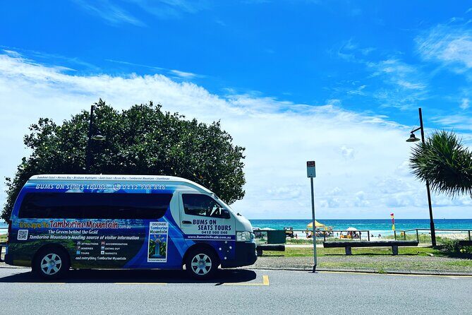 Lone Pine, Brisbane Highlights and Lunch! - The Sum Up: Is This Tour Right for You?