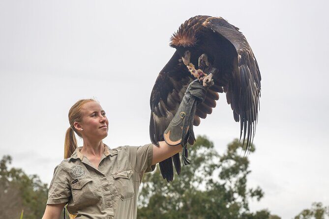 Lone Pine Koala Sanctuary Day Pass - Who Will Love This Experience?