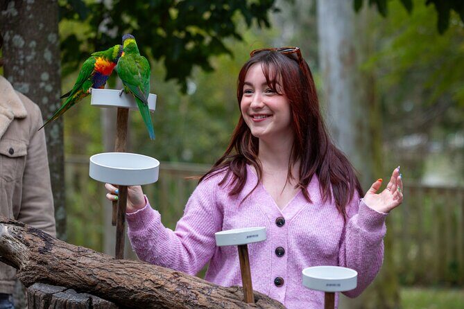 Lone Pine Koala Sanctuary Day Pass - FAQ