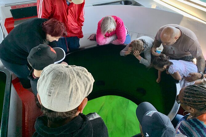 Long Beach Glass Bottom Boat Eco-Tour - FAQ