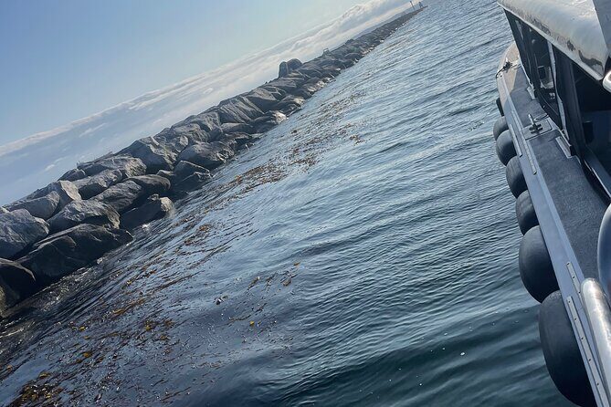 Long Beach Glass Bottom Boat Eco-Tour - The Sum Up