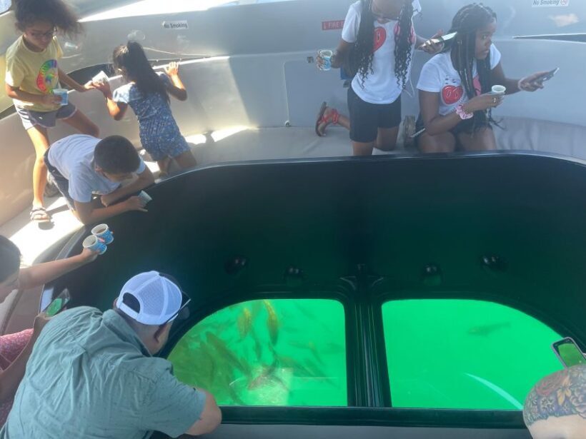 Long Beach: Glass Bottom Boat Harbor Ecotour - Exploring the Long Beach: Glass Bottom Boat Harbor Ecotour