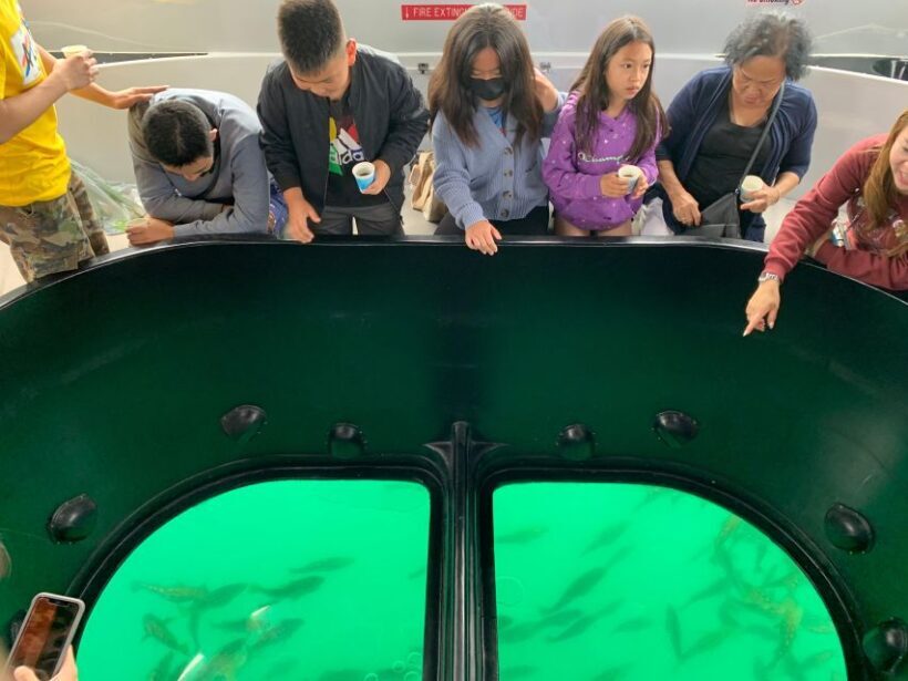 Long Beach: Glass Bottom Boat Harbor Ecotour - Who Should Consider This Tour?