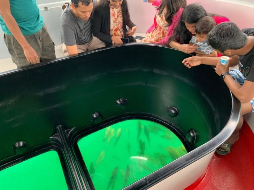 Long Beach: Glass Bottom Boat Harbor Ecotour - Practical Tips for Enjoying the Tour